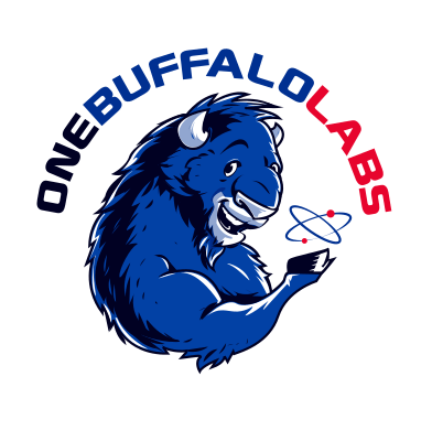 One Buffalo Labs | Powering Buffalo's Digital Future